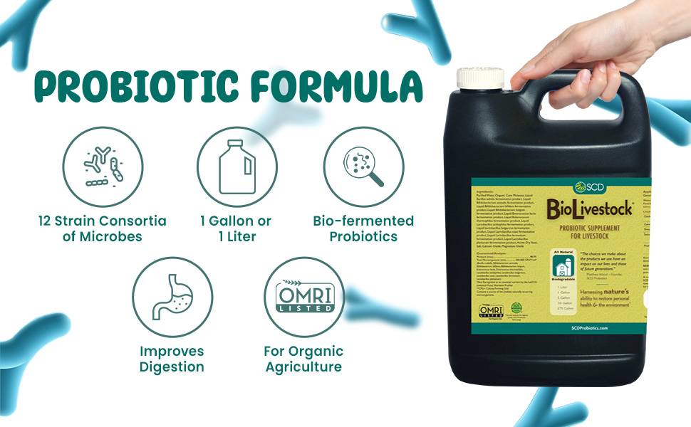 The Importance of Probiotics for Chickens